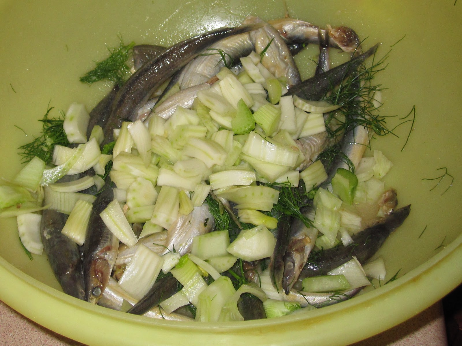 Cannundrums: Sand Eel or Sand Lance