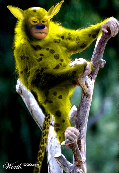 Most Entainment Guide: Marsupilami