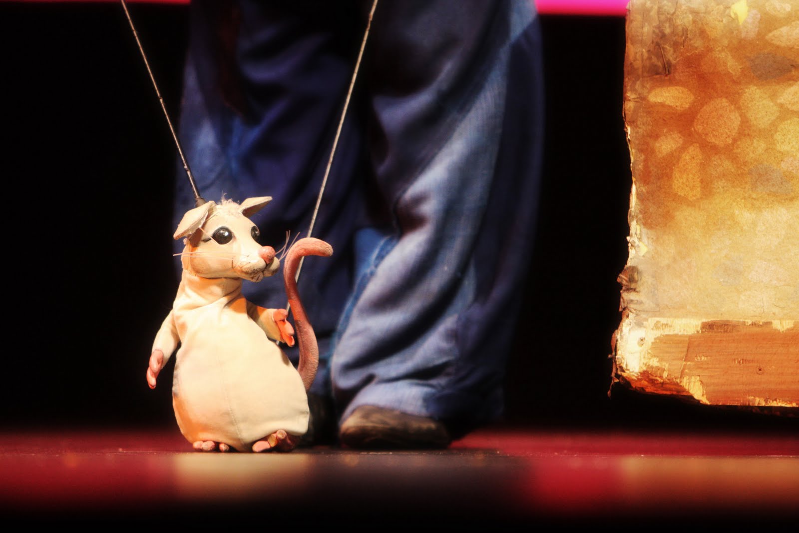 North Carolina Theatre: Cinderella Production Photos