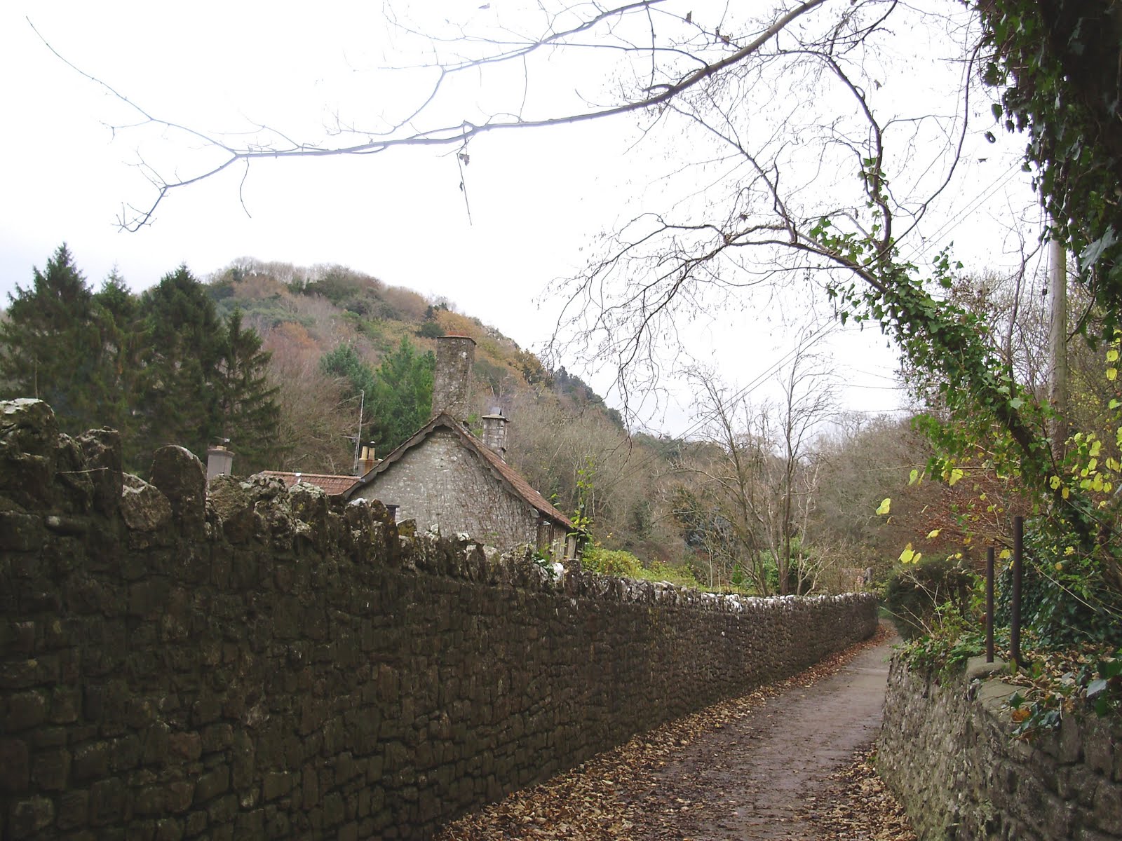 The Faery Folklorist: Goblin Combe