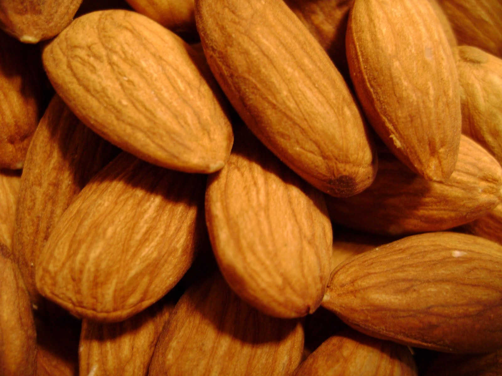 Free Posters and Signs: picture of almonds