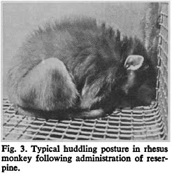 Primate Freedom: Odds and Ends in the History of Vivisection