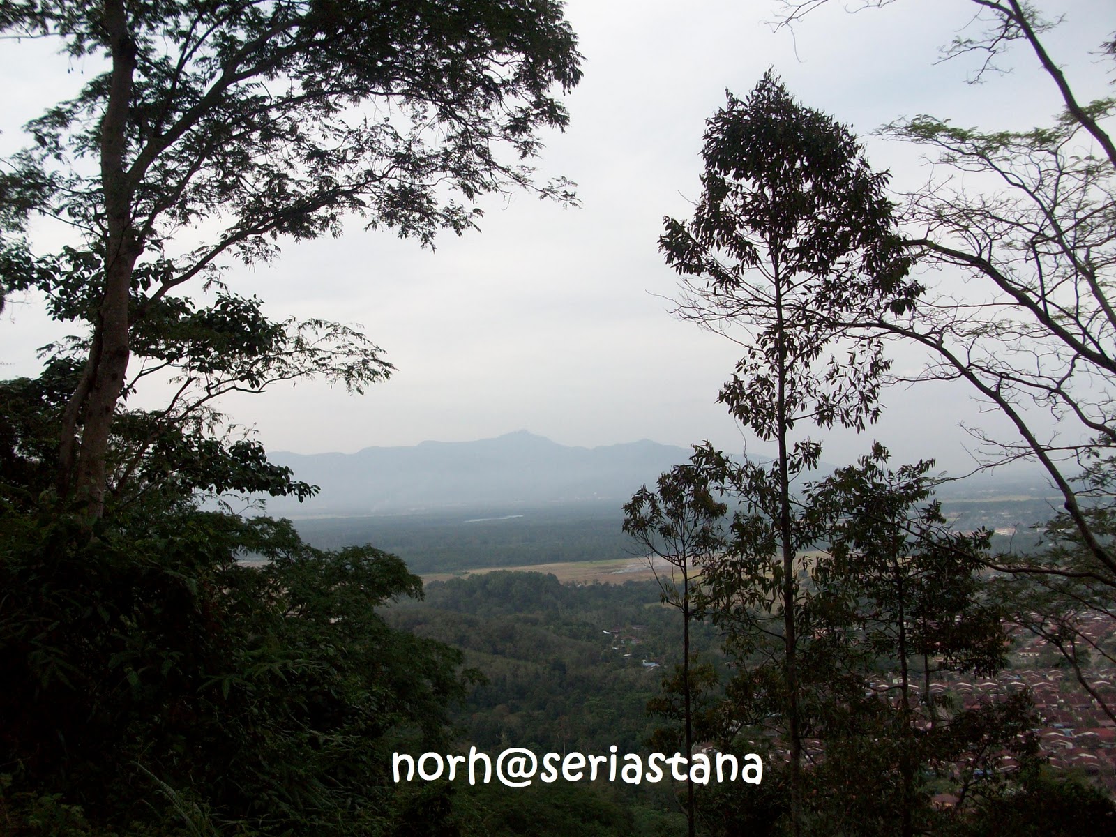 seriastana: bukit H berjaya ku tawan