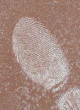 forensics: Fingerprinting as forensics