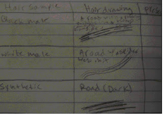 forensics: Hair Analysis used in Forensic Science