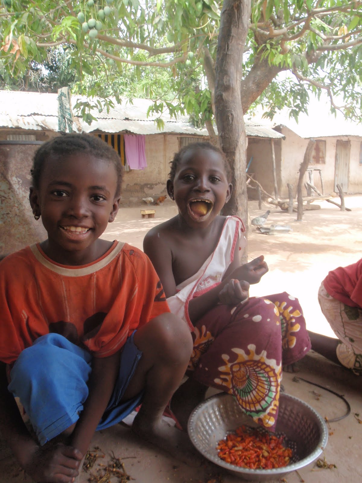 Sitting Under a Baobob: Eating Clay