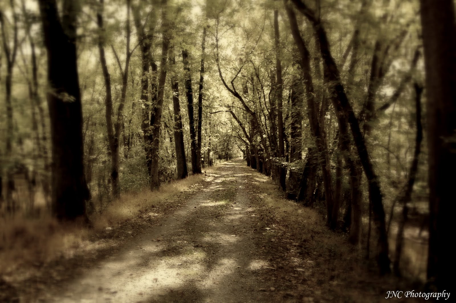 The Road Less Traveled | JNC Photography