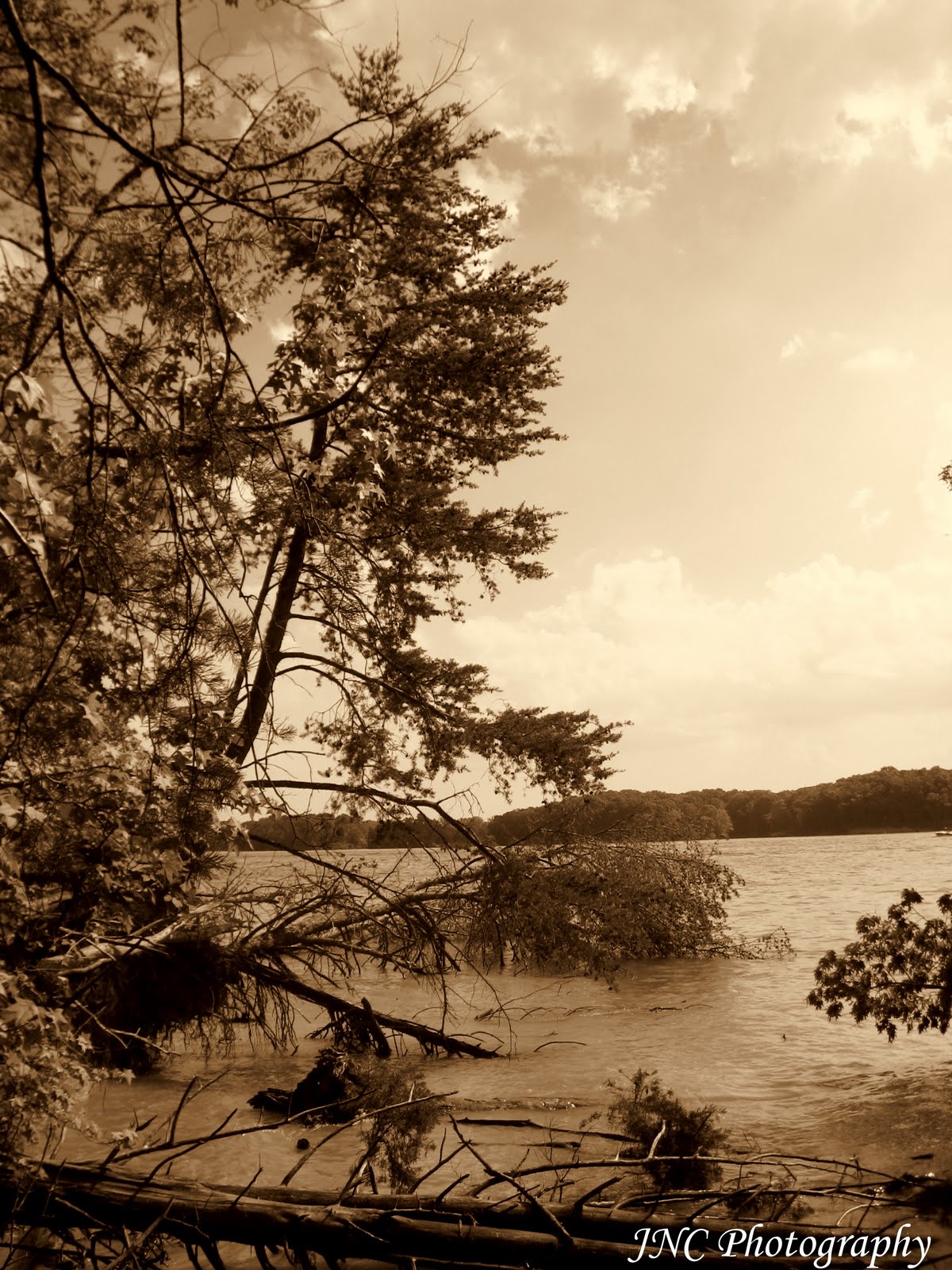 Nature... Subtle But Strong | JNC Photography