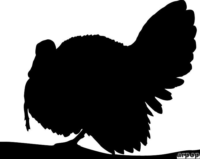 Texas Scroll Saw Patterns: Wild Turkey Silhouette