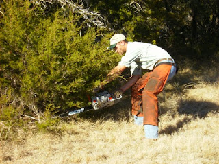 PLATEAU LAND AND WILDLIFE MANAGEMENT NEWS: CORRECTLY TIMING BRUSH ...