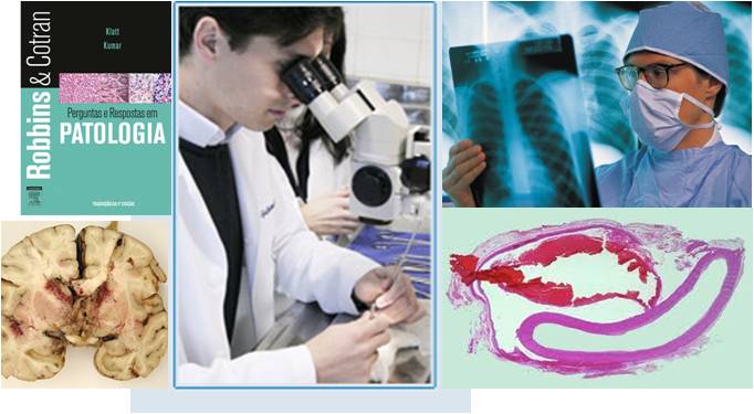 VII Curso de Extensão - ATUALIZAÇÕES EM PATOLOGIA GERAL: CONTEÚDO ...