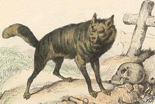 Nobody's ghosts: Miss Lupescu