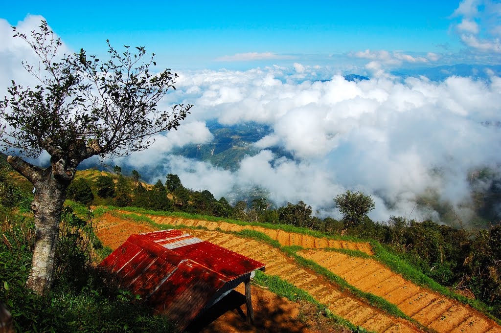 Weekend Trip Baguio: Mount Santo Tomas, November 2009