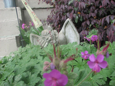 The Handmade Homemaker: Geranium Mac. Bevan's Variety