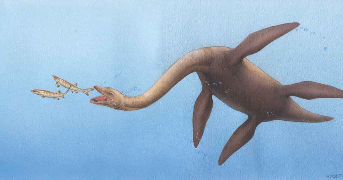 Lusodinos- Dinossauros de Portugal: Os plesiossauros, os senhores dos ...