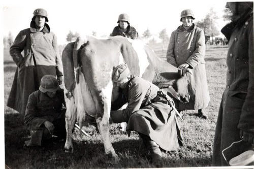 Ben and Bawb's Blog: THE LOST ART OF FIELD COOKING