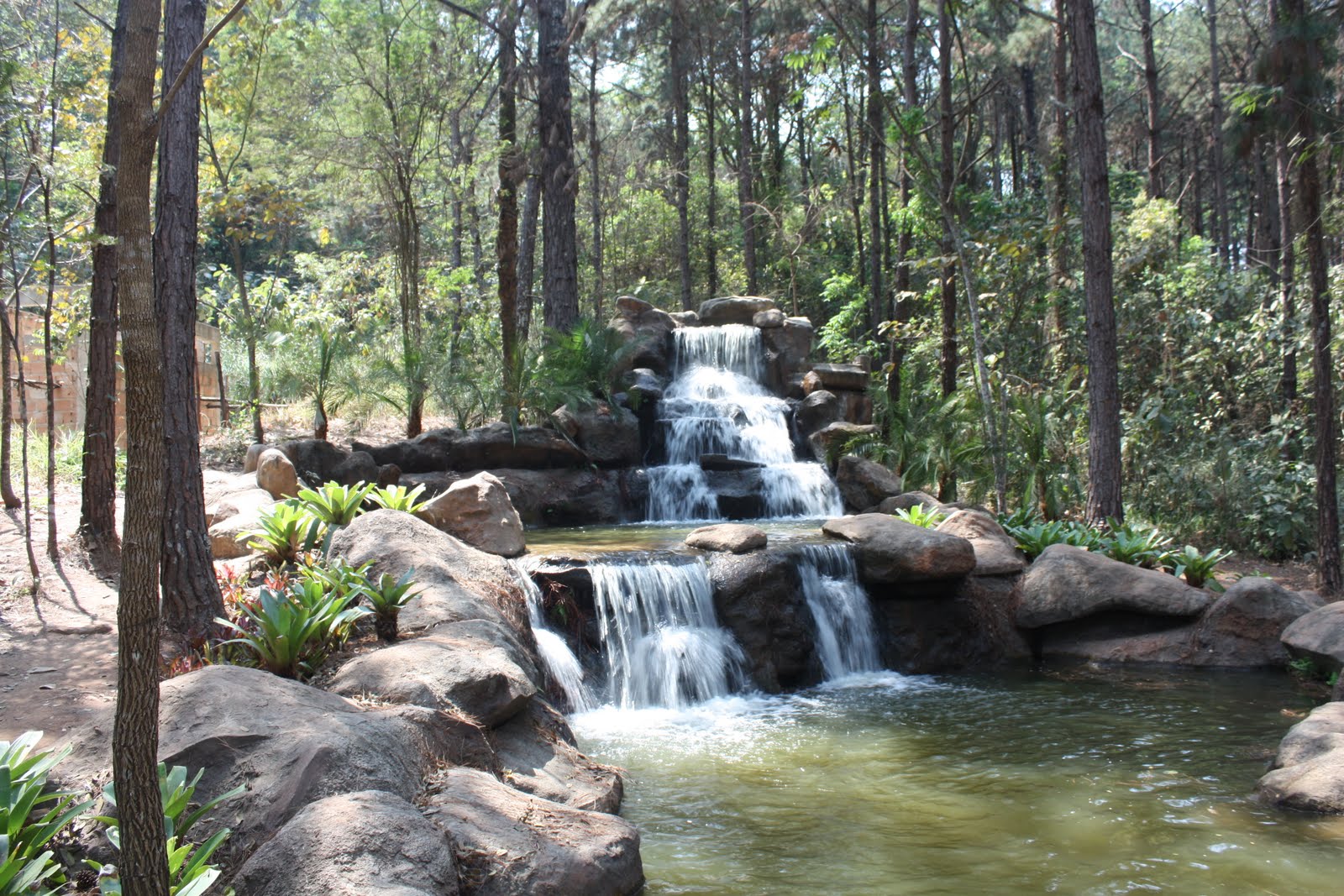 .: Leonardo Perdigão - Arte & Fotografia :.: Parque Ecológico e ...