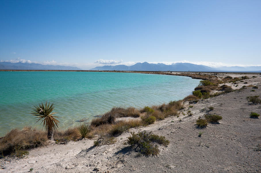 The Physician Anthropologist: Symbolic Healing among the Kickapoo of Mexico