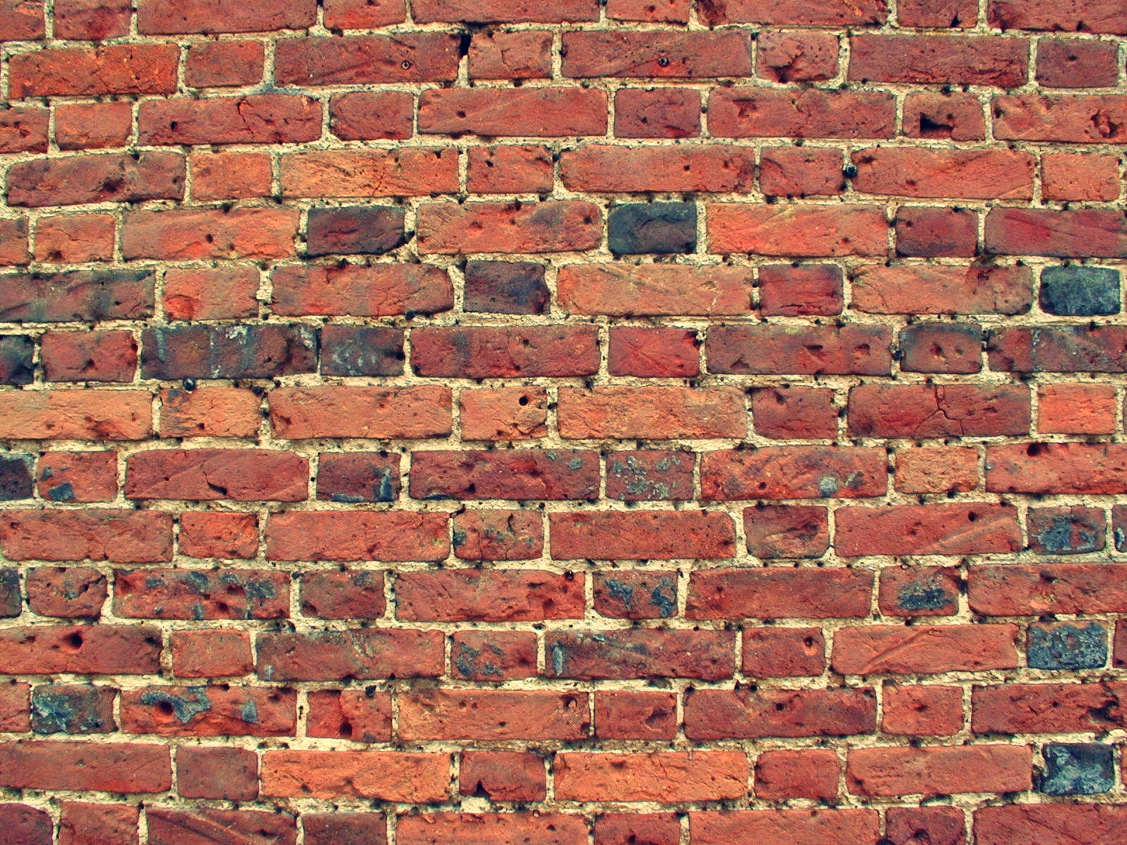 Site Review: The Wisdom Wall