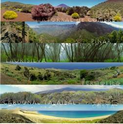 REGIONES NATURALES: REGIONES NATURALES