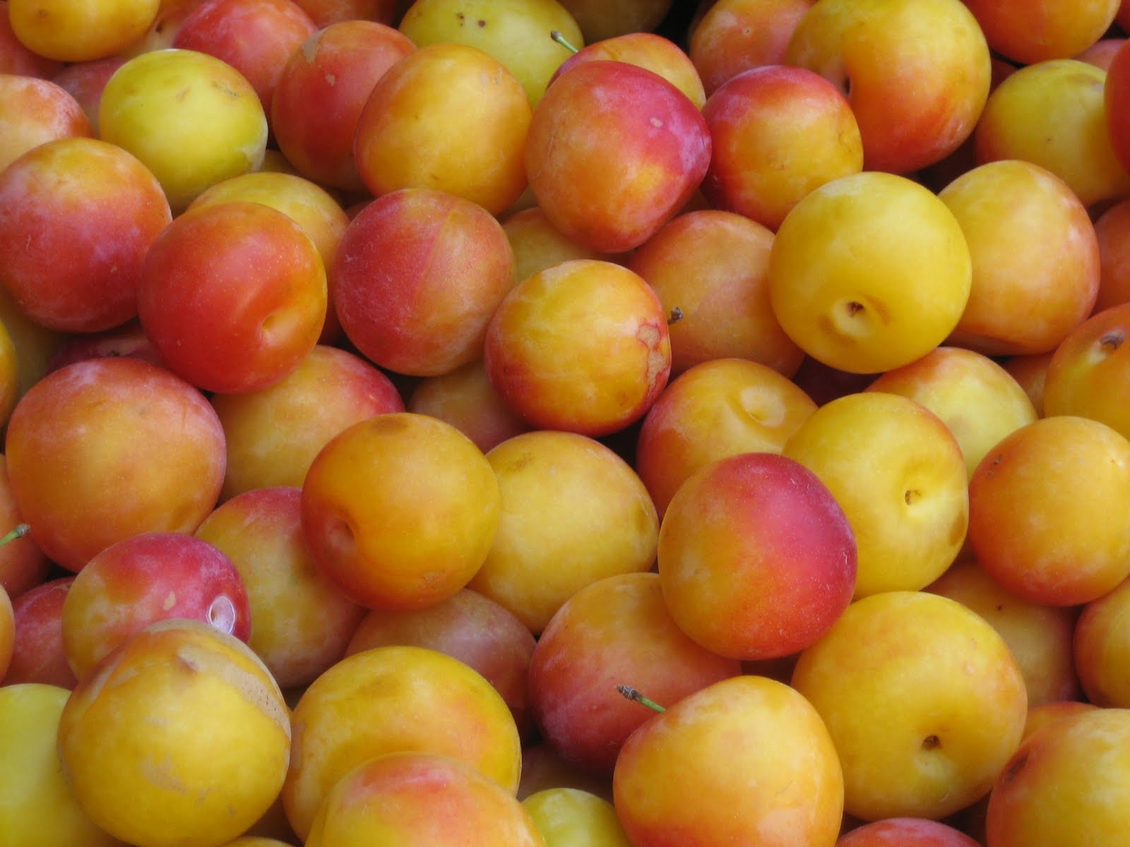 Tales of a Madcap Heiress: To Market, To Market