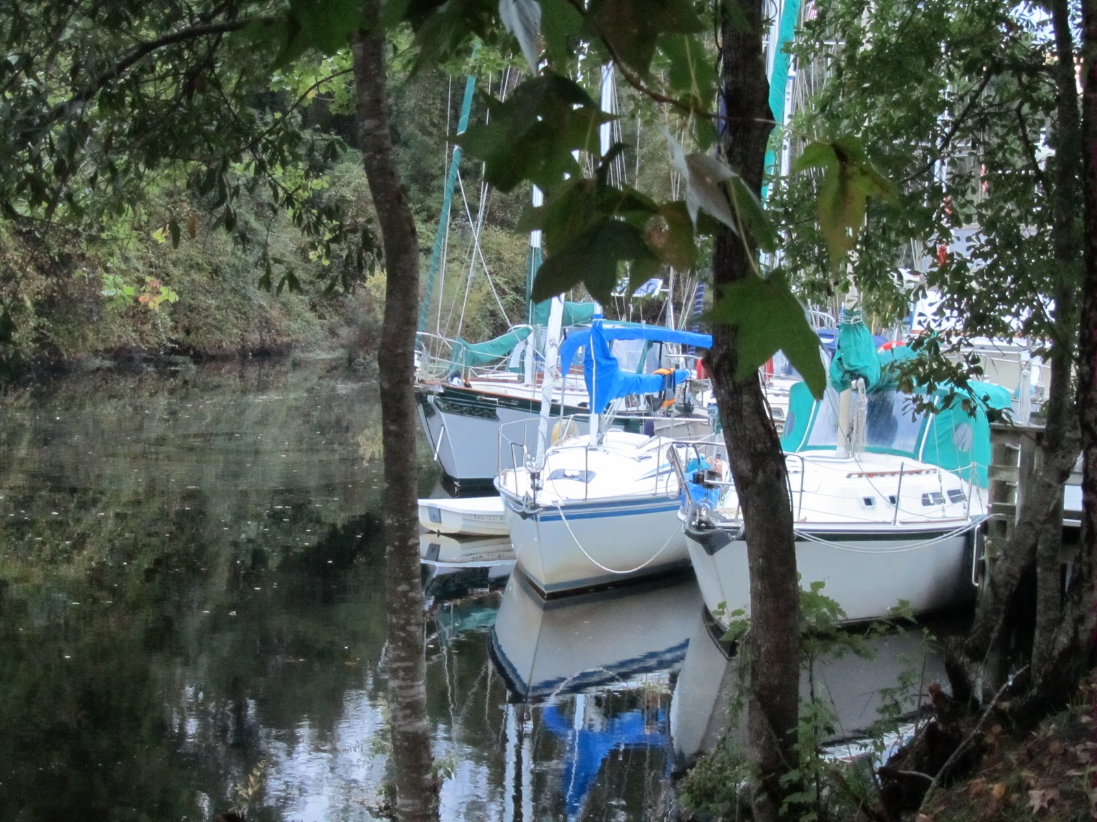 Cape Cod to Key West: The Dismal Swamp to Elizabeth City NC