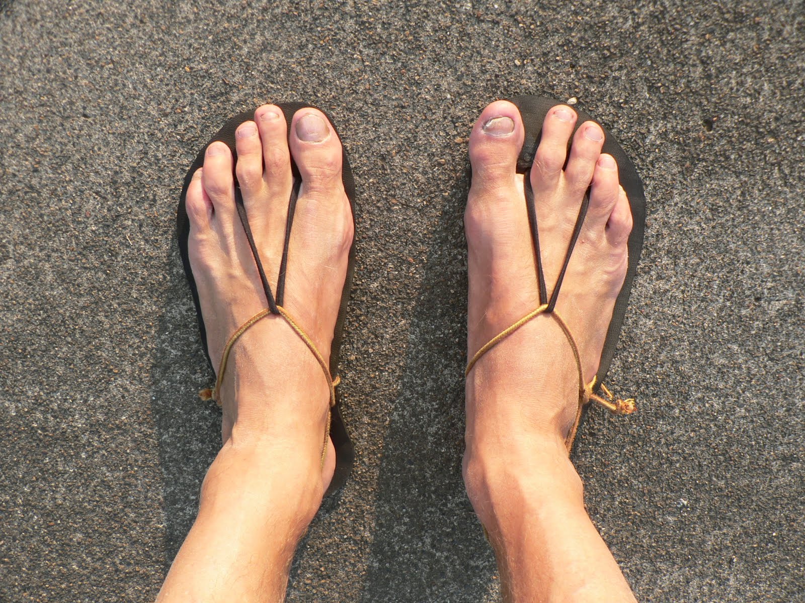 The Sentient Runner: August 2010