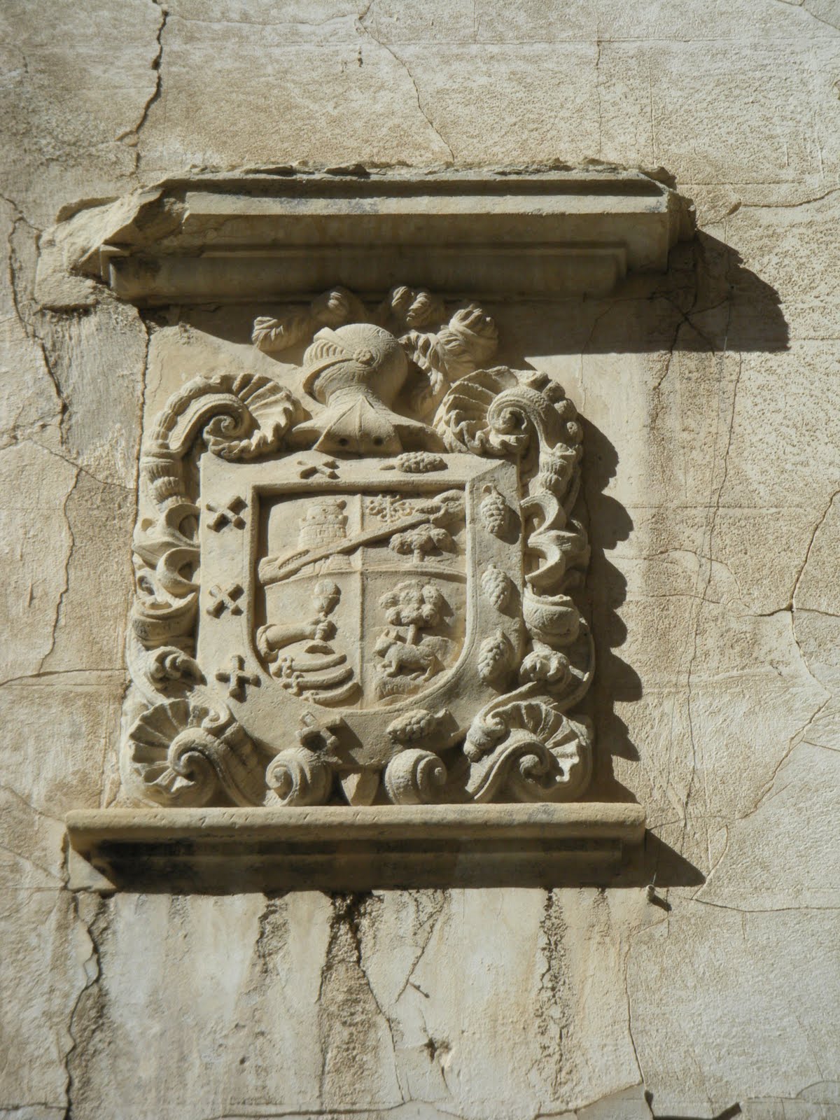 Familia De Cuenca: El Escudo de los De Cuenca