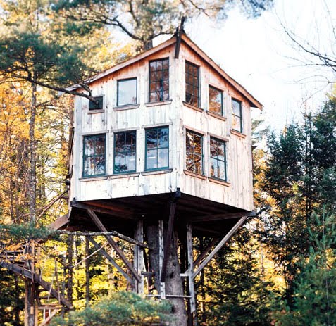 Treehouse - an idea and building journal: post and beam