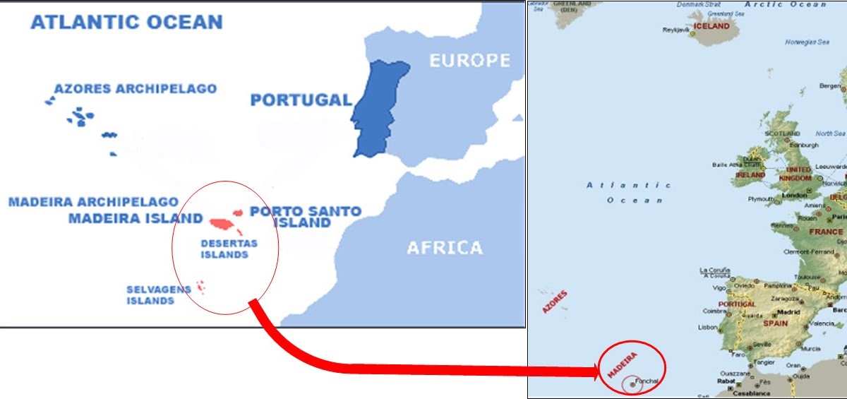 International Study of RE-Regions: Madeira Archipelago, Portugal
