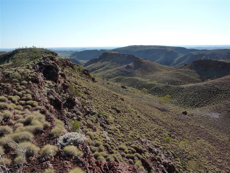 WA Zoologist: Mt Webber Fauna Survey