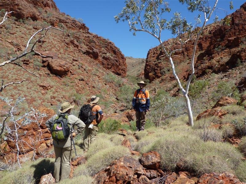 WA Zoologist: Mt Webber Fauna Survey