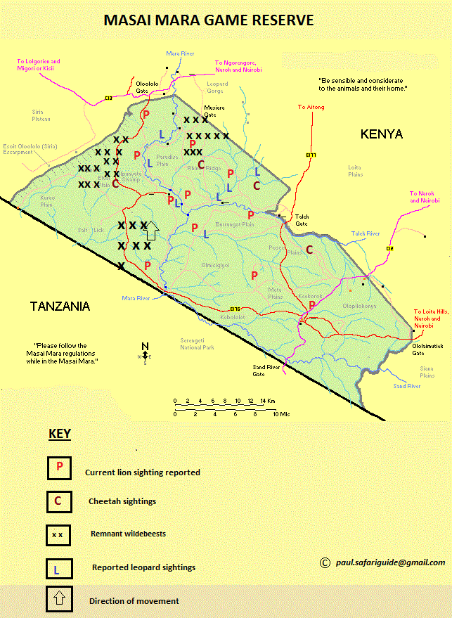 Paul Kirui Safari Blog: A beautiful and quiet Mara