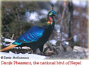 Nepal and Nepali: National