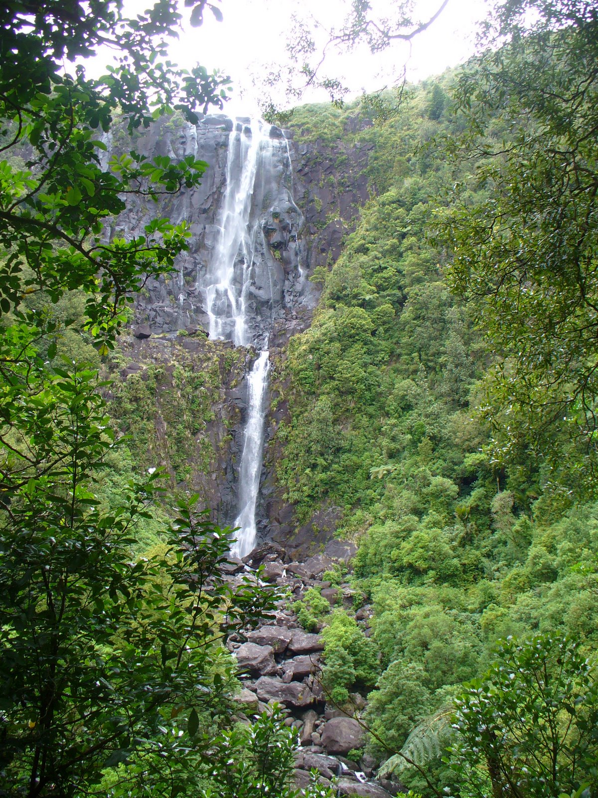 Dutchcorner: Te Aroha