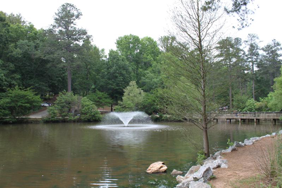 See Athens Georgia.com