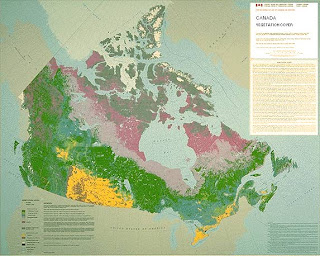 Taylor's Maps: Nominal area choropleth map