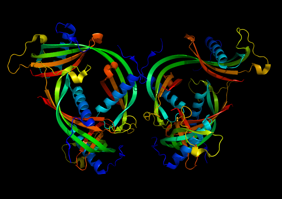 Gamma Globulins Gamma Globulins