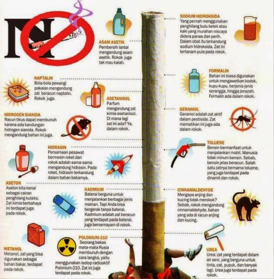 Komponen Rokok ~ Aswida's Article