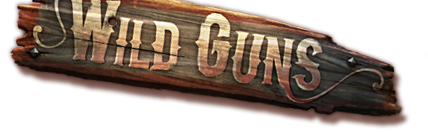 Wild Guns PT: Wild Guns