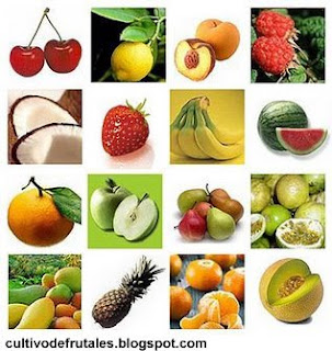 Cultivo de frutales: Elección de los árboles frutales