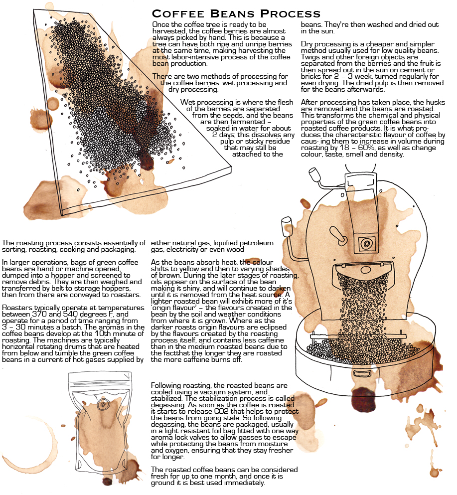 100 Coffee Facts Coffee Bean Process 100-coffee-facts-coffee-bean-process