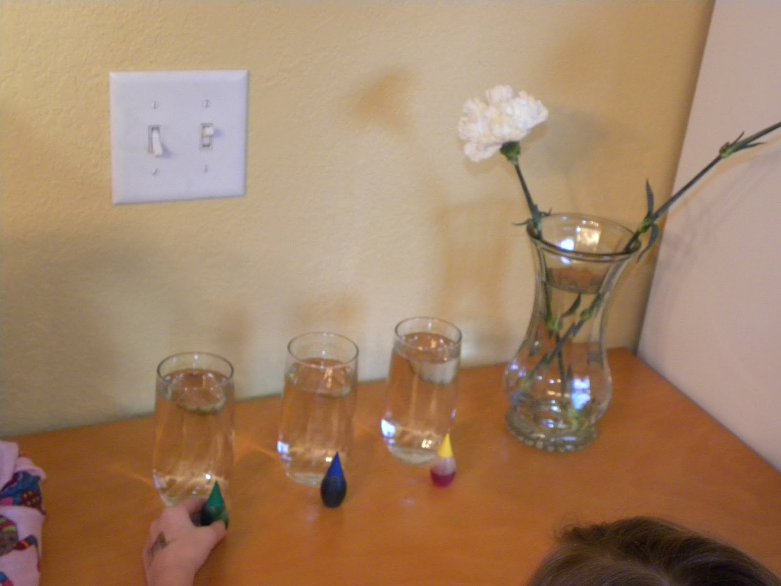 Lessons On Longview: One Hundred Flowers - A Science Experiment