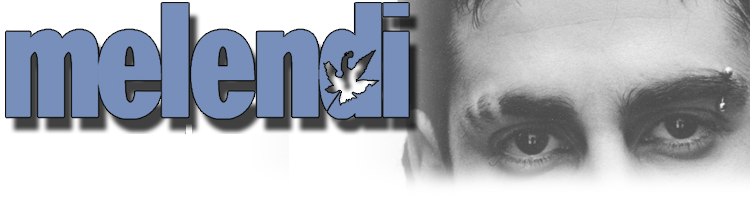 todo-melendi: todo sobre melendi