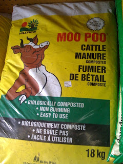 love in a canoe: moo poo