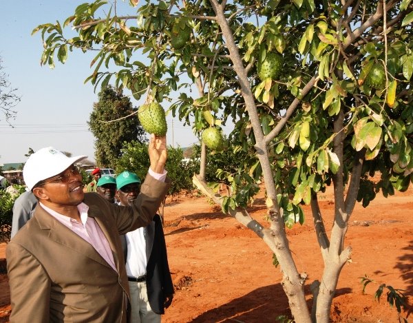 UTAFITI: TUNDA LA STAFELI LINATIBU AINA 12 ZA UGONJWA WA SARATANI. - Mc ...