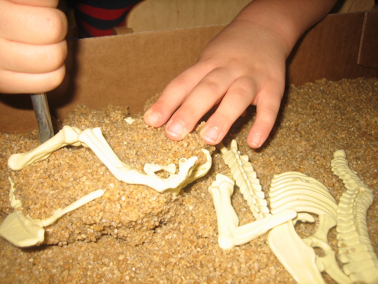 BSW TOY, INC. EXCAVATION STATION T-REX DIG SITE EDUCATIONAL TOY REVIEW ...