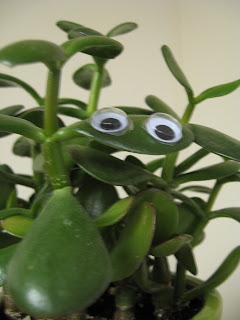 Plant Crazy: A Birthday Surprise with Googly Eyes