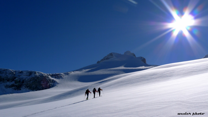 Skiing Mt Hector - Global Alpine