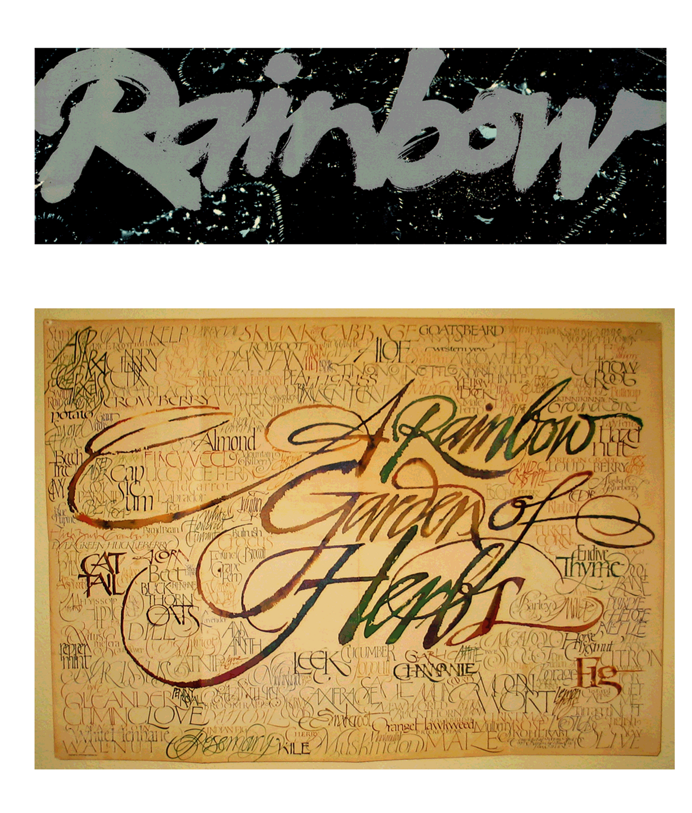 Tim Girvin - Alchetron, The Free Social Encyclopedia